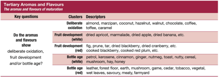 SOMM TV’s Guide to the Complicated World of Wine Aromas