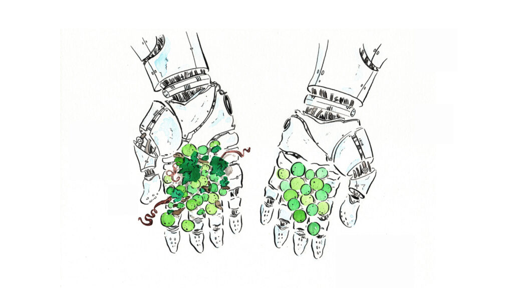 Optical Sorting: Tech That Eases Labor Shortages & Lessens Winemaking ...
