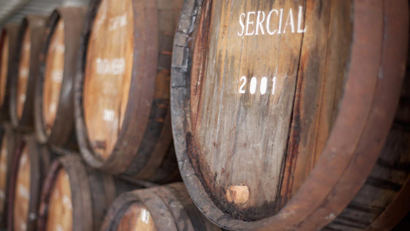 4 Approaches to Madeira Winemaking, From Ancient Tradition to Modern ...