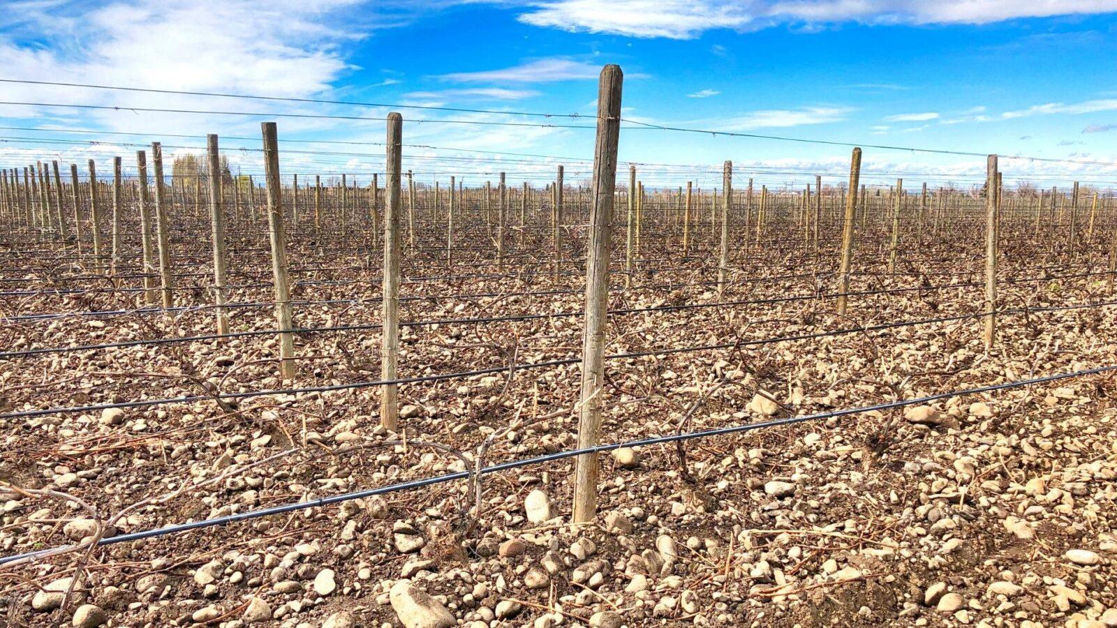 The Rockin’ Rhône Wines of The Rocks District of Milton-Freewater ...