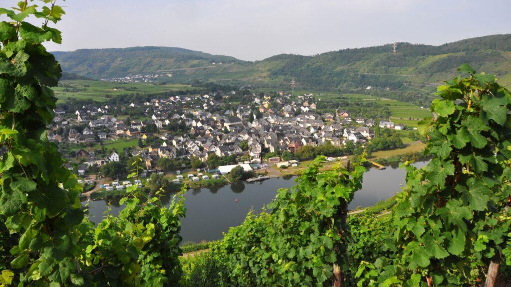 A Simple Guide to the 13 German Wine Regions - SOMM TV